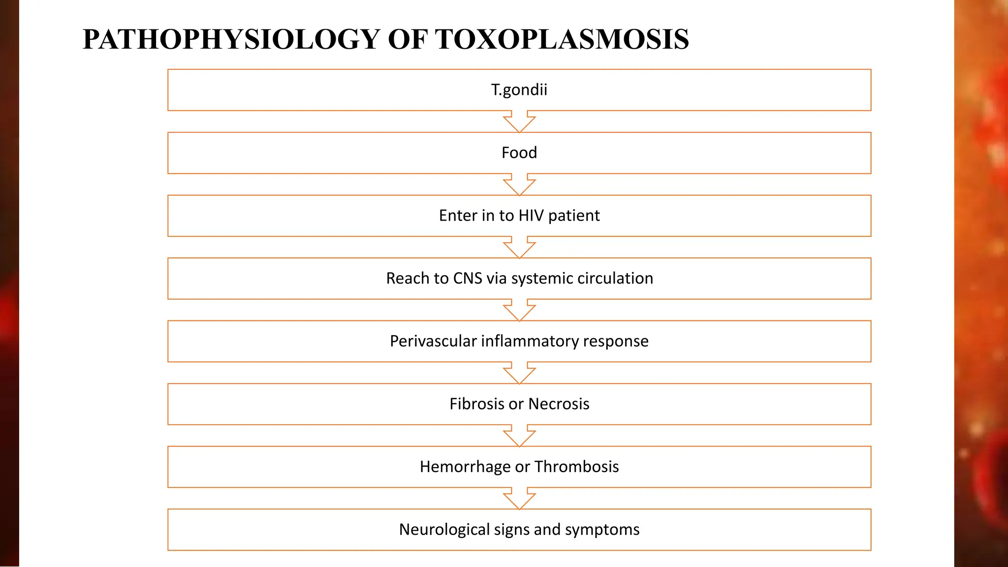 HIV AND OPPORTUNISTIC INFECTIONS IN HIV.pptx