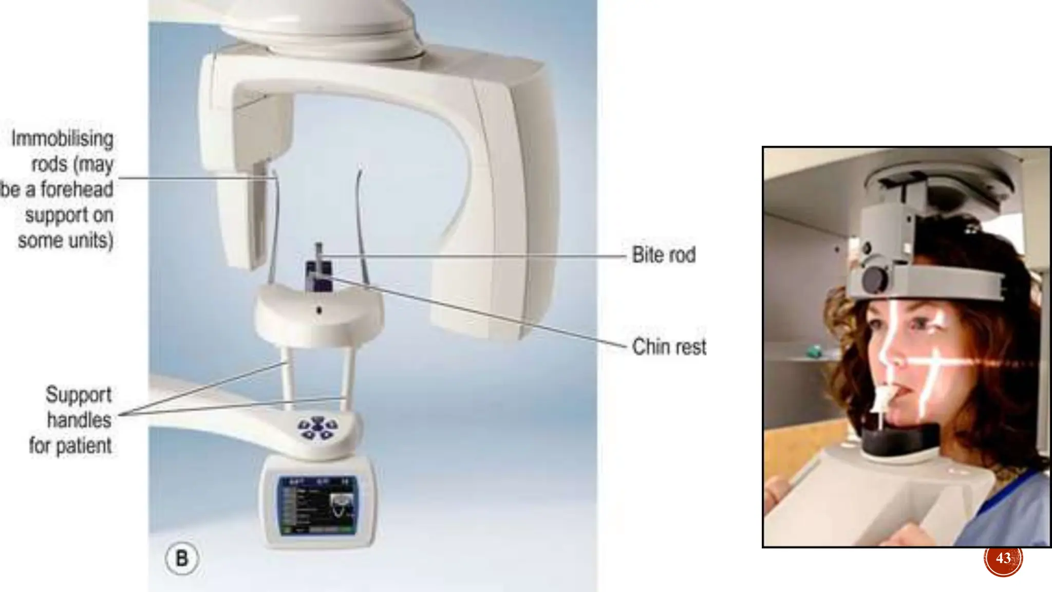 a seminar on panoramic radiography- first part.pptx