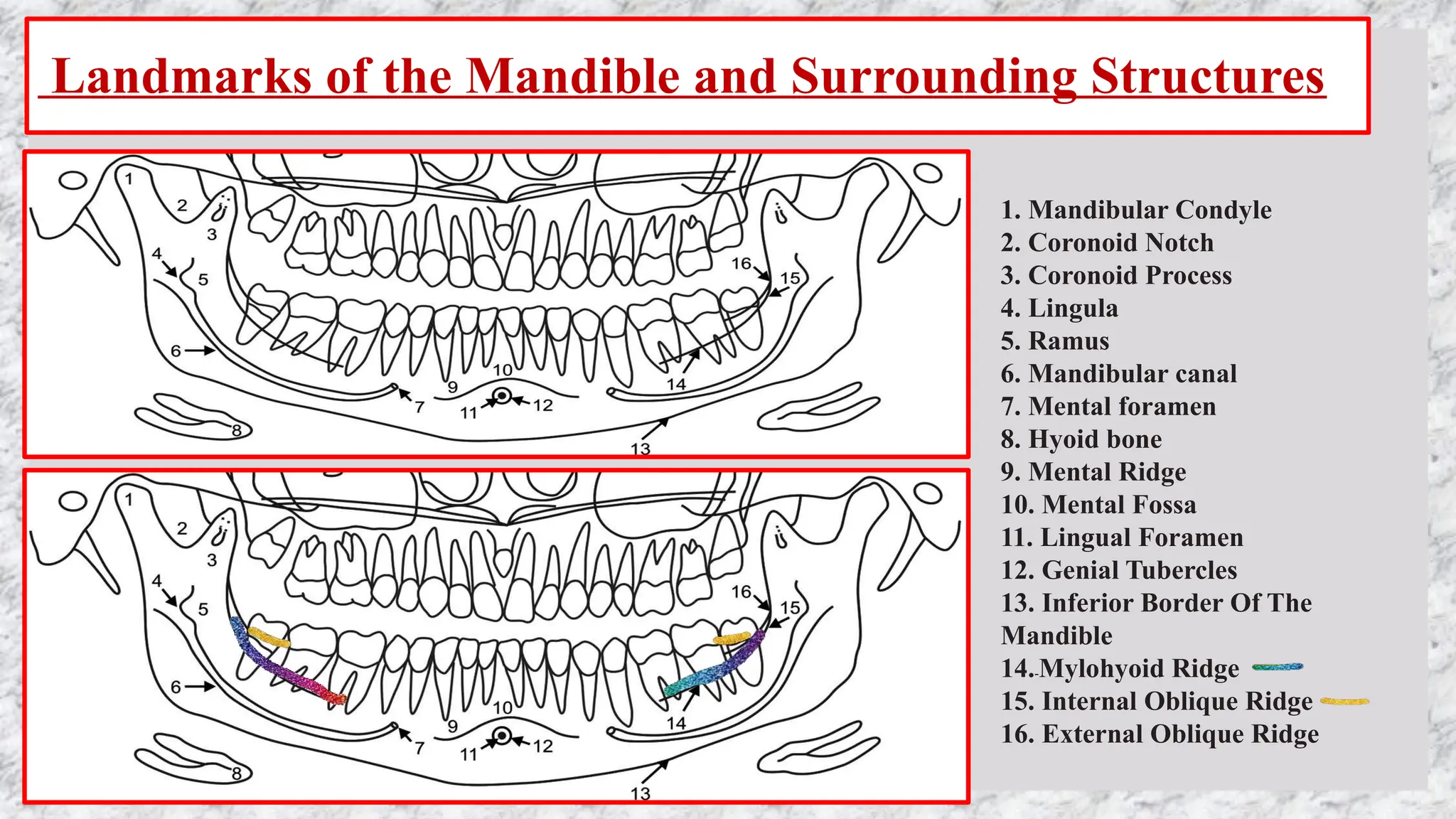 OPG (ORTHOPANTOMOGRAPHY) - PANORAMIC RADIOGRAPHY- DR PRIYANKA | PPTX