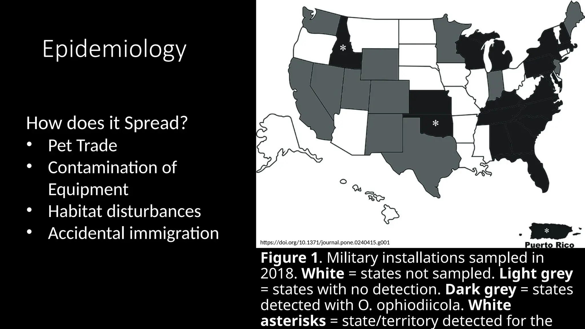 Ophidiomyces ophiodiicola Infection in Snakes | PPT