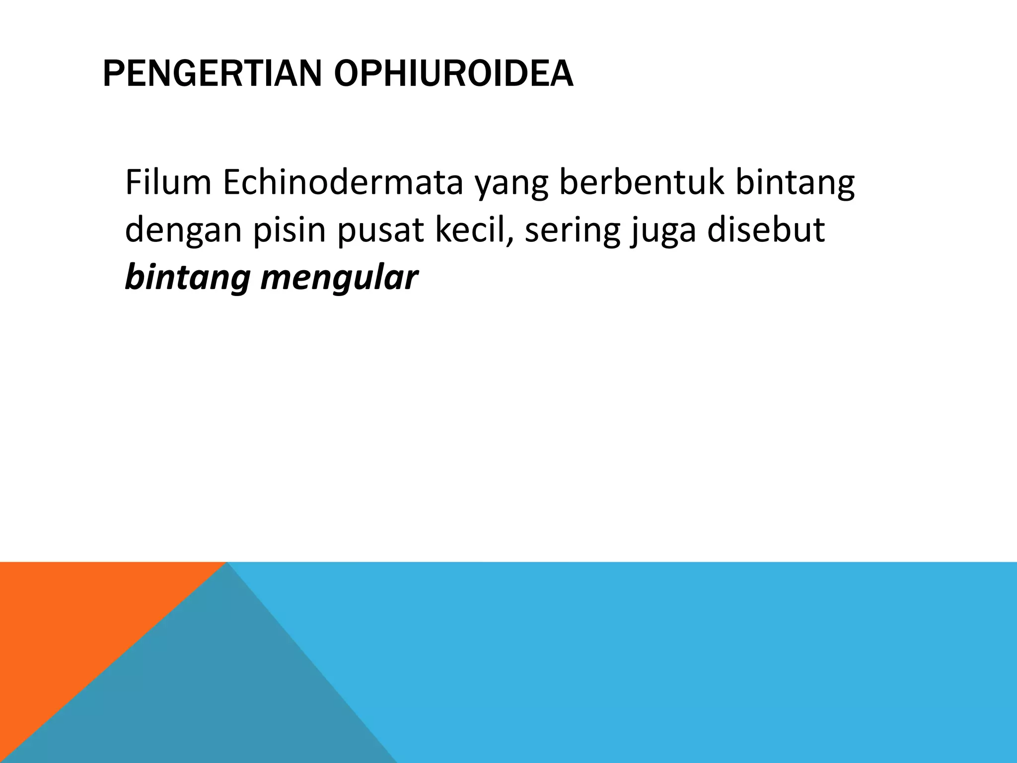 Ophiuroidea Biologi SMA Kelas X MIA | PPTX