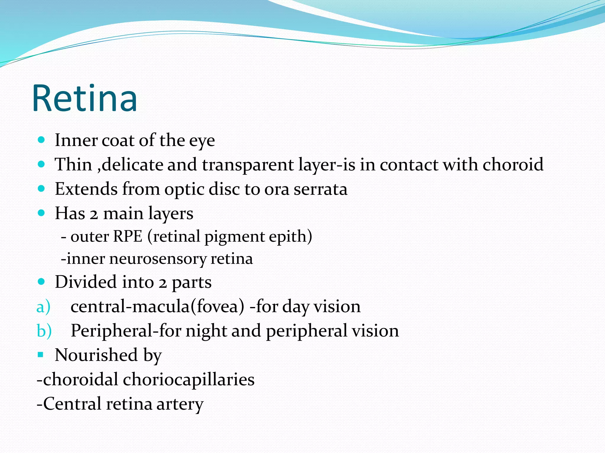 Anatomy of eye | PPTX