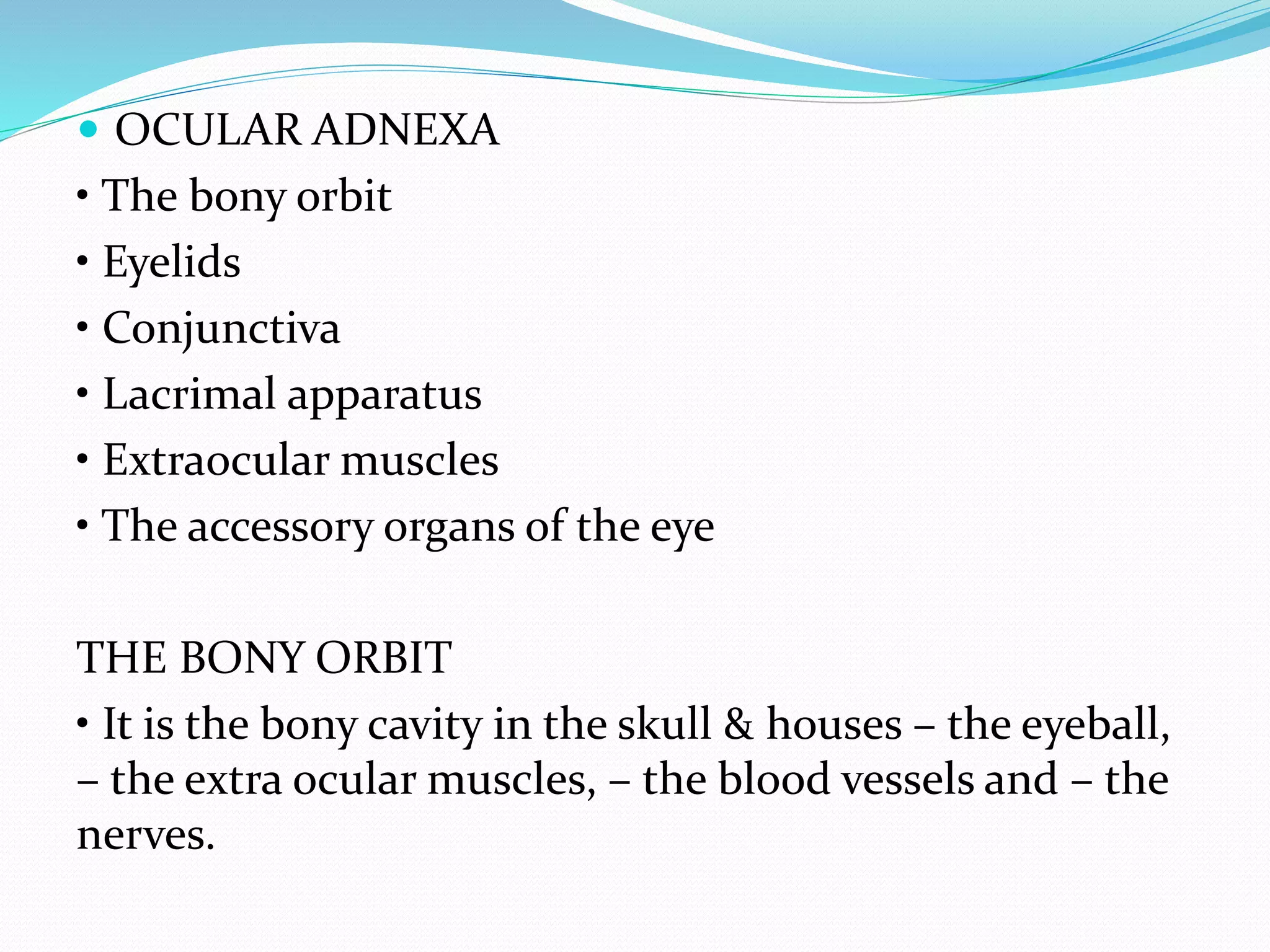 Anatomy of eye | PPTX