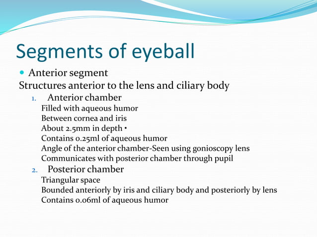 Anatomy of eye | PPTX