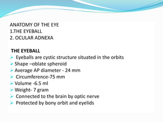 Anatomy of eye | PPTX