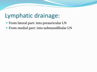 Anatomy of eye | PPTX