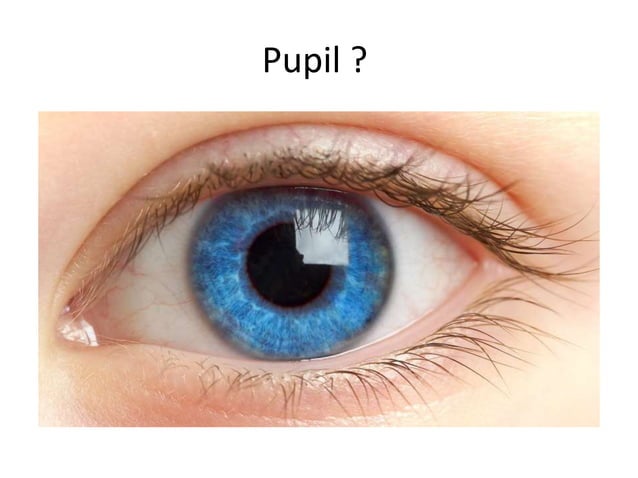 Abnormal Pupil Reactions | PPTX