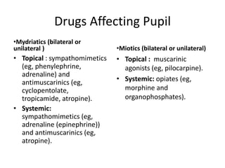 Abnormal Pupil Reactions | PPT