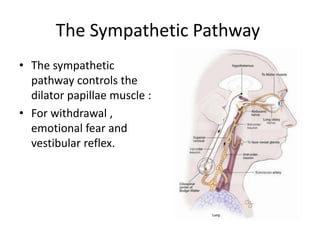 Abnormal Pupil Reactions | PPTX
