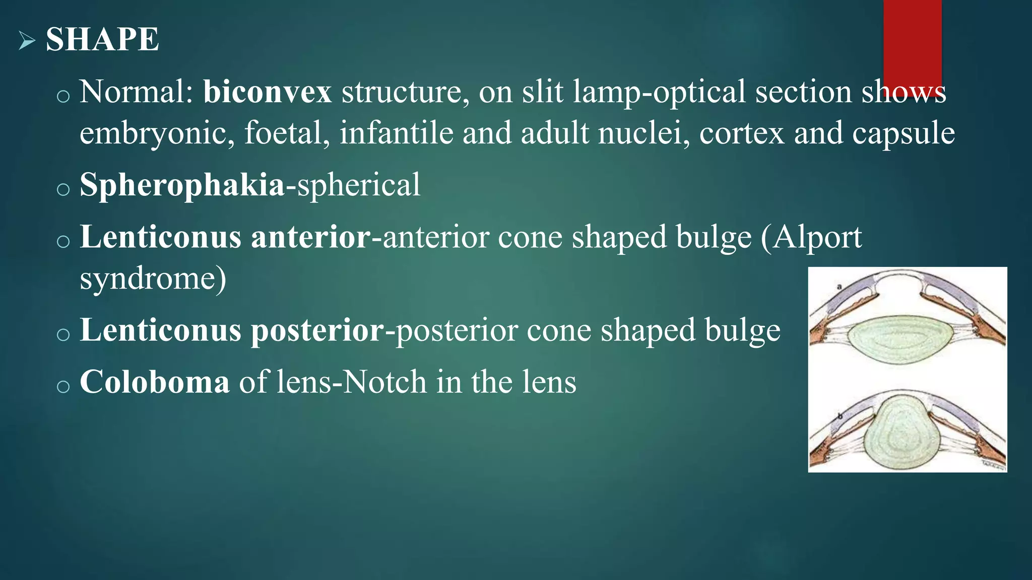 Ophthal examination of eye | PPTX