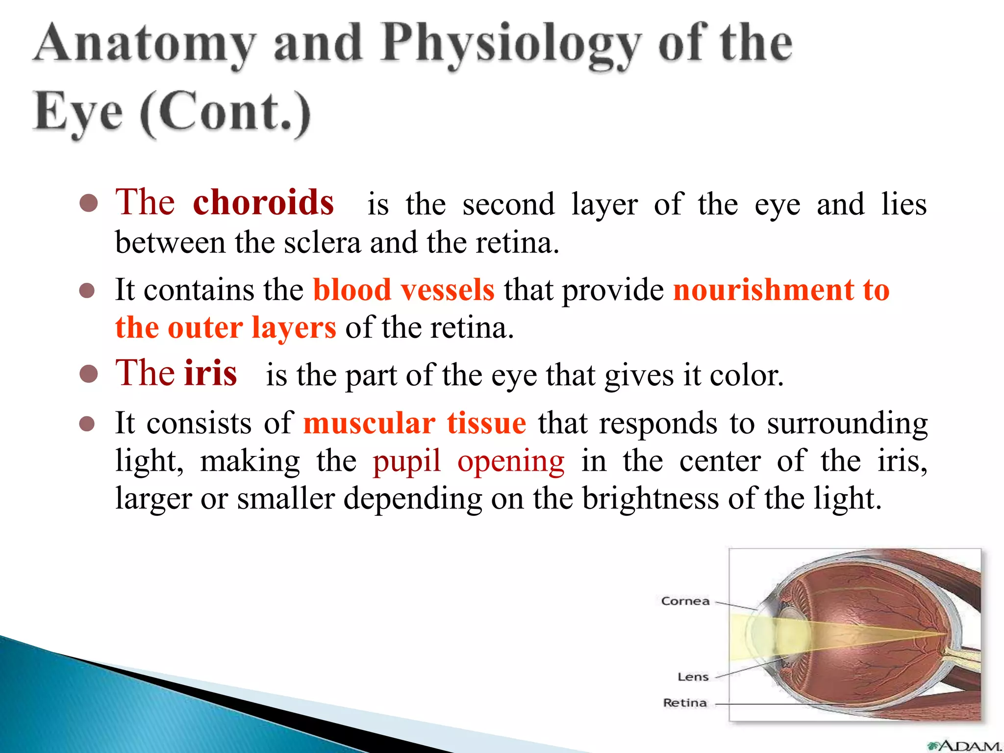 Ophthalmic products dr.deepthi kolluru(1) | PPTX