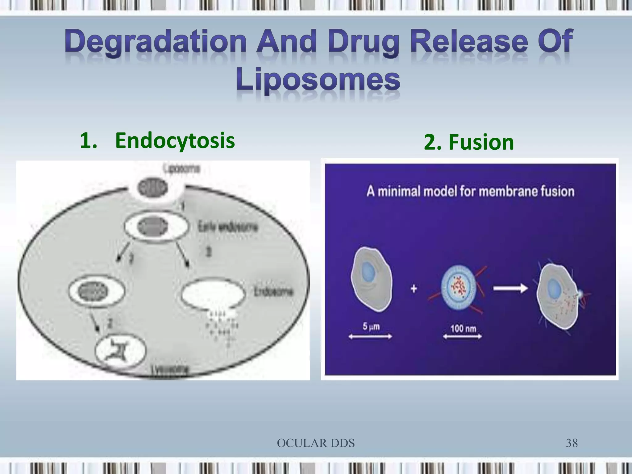 Ophthalmic drug delivery system | PPTX