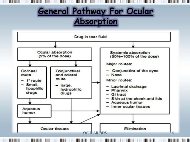Ophthalmic drug delivery system | PPTX