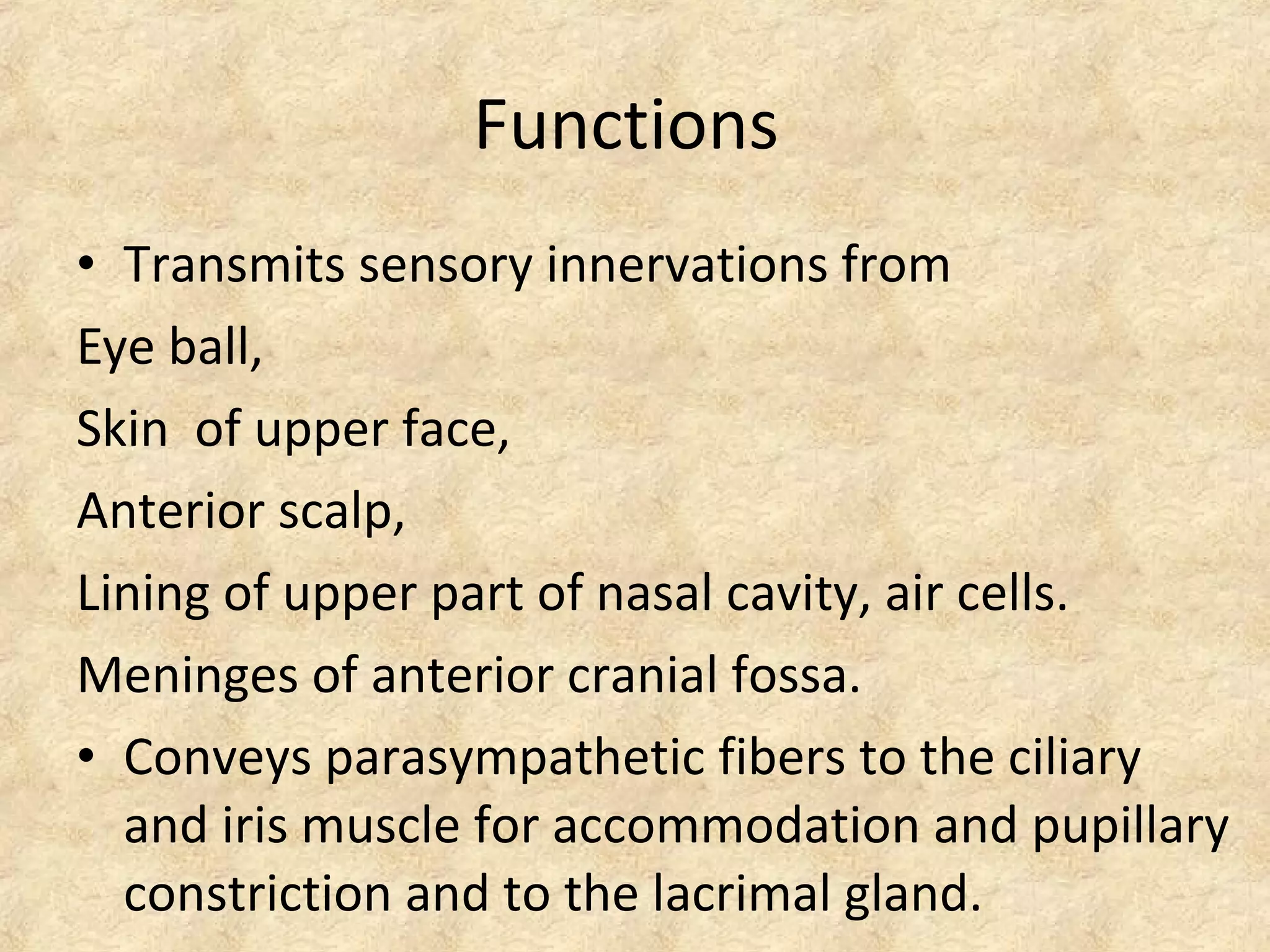 Ophthalmic nerve dental surgery | PPT