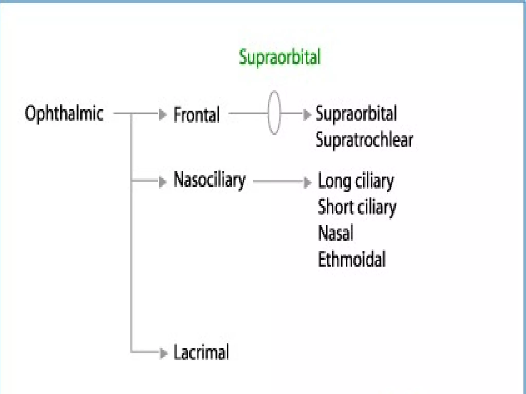 Ophthalmic nerve dental surgery | PPT