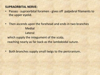 Ophthalmic nerve dental surgery | PPT
