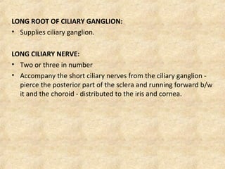 Ophthalmic nerve dental surgery | PPT