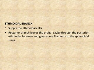 Ophthalmic nerve dental surgery | PPT