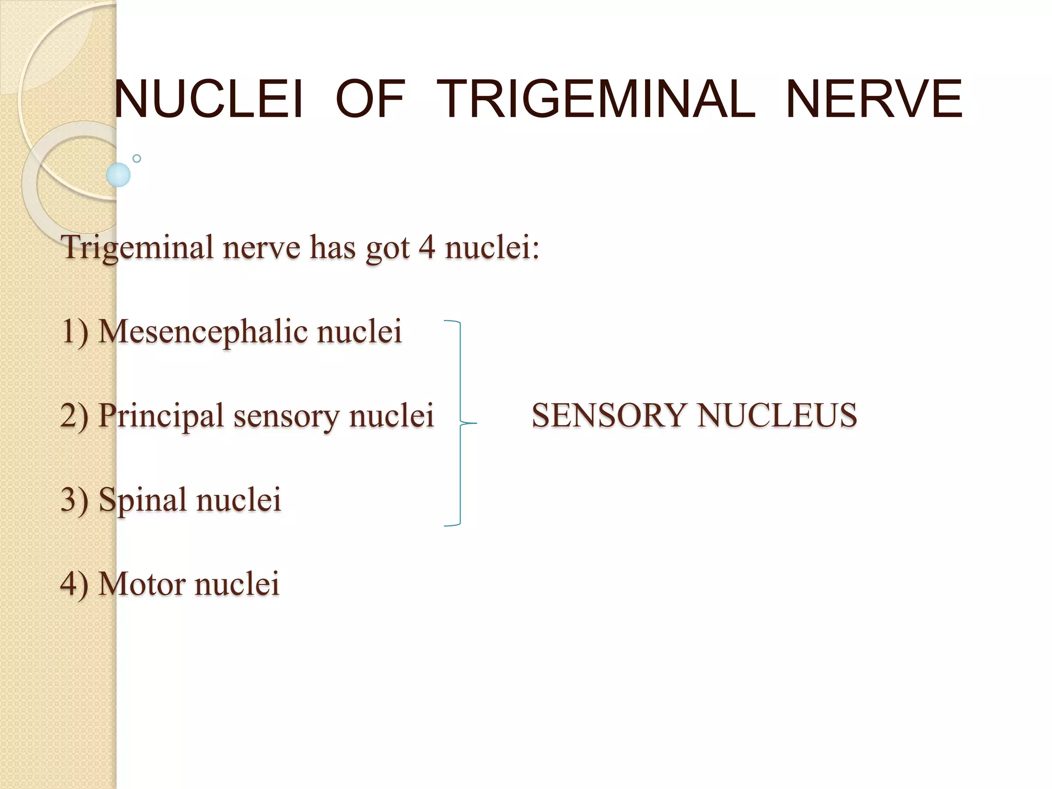 Ophthalmic nerve | PPTX