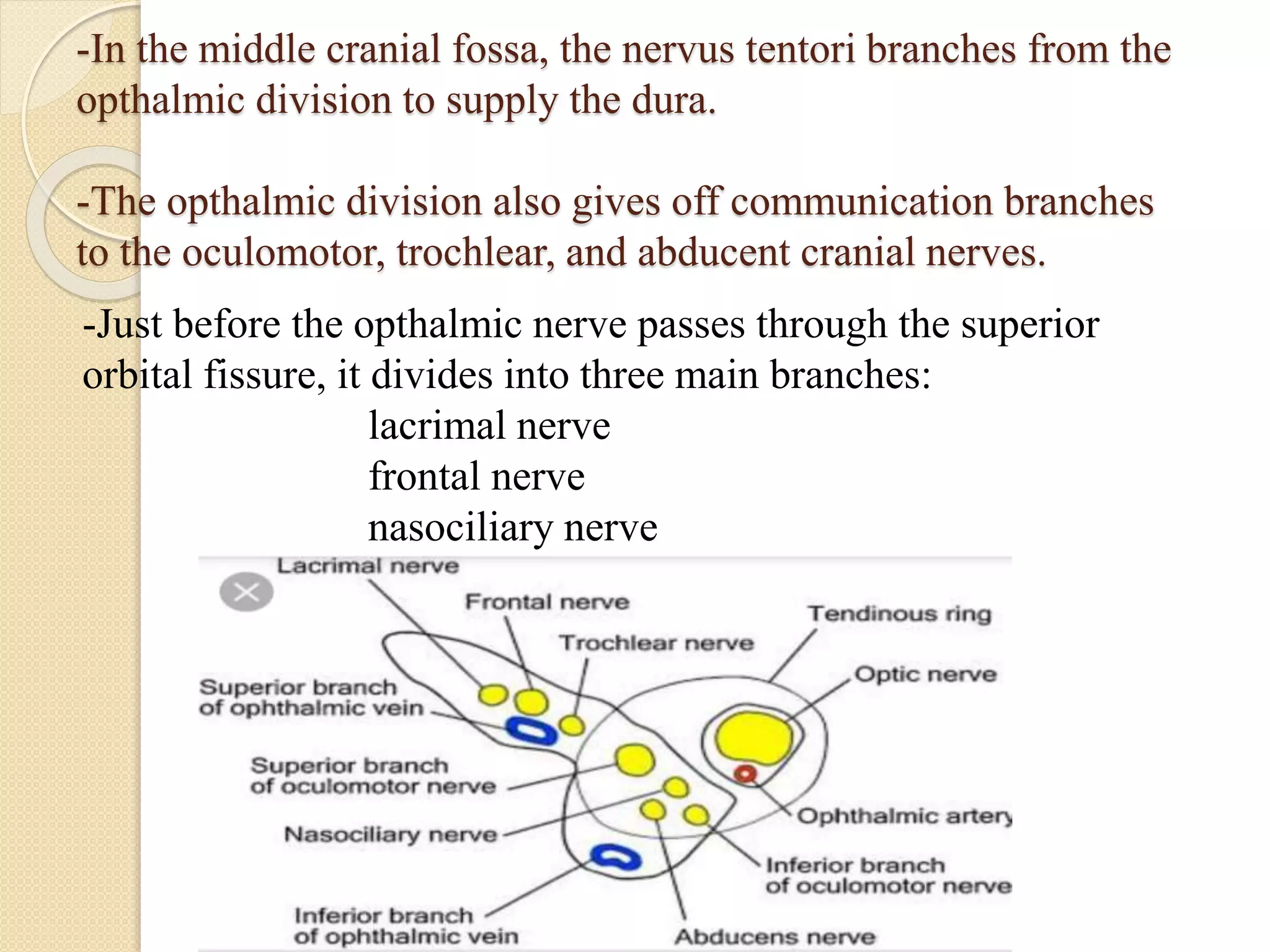 Ophthalmic nerve | PPTX