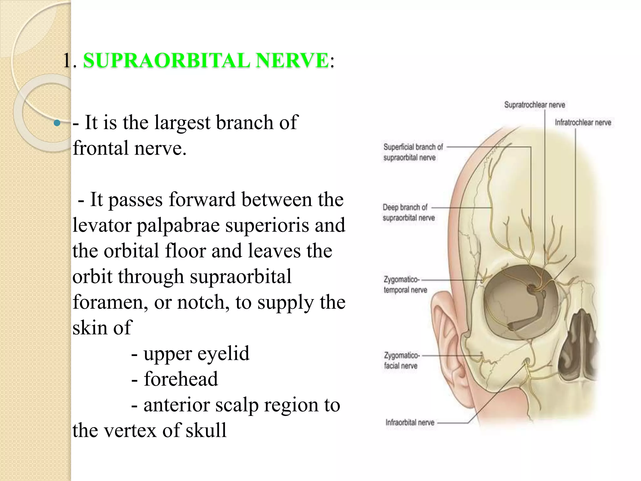 Ophthalmic nerve | PPTX
