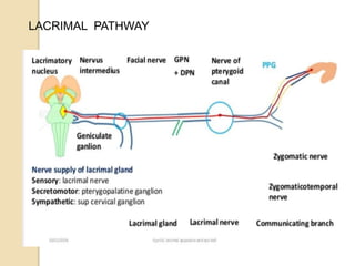 Ophthalmic nerve | PPTX