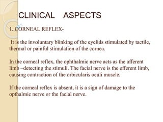 Ophthalmic nerve | PPTX