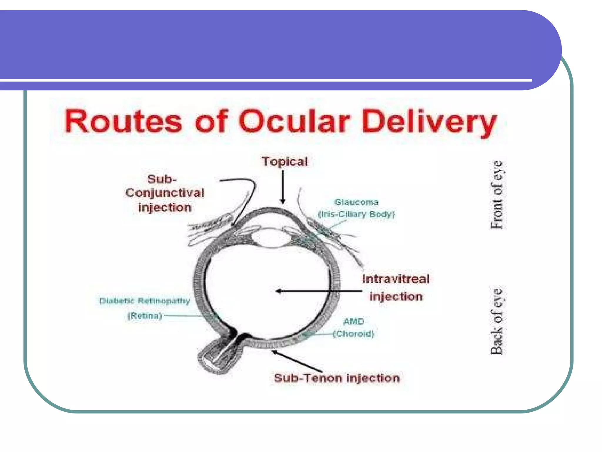 Ophthalmic preparations | PPT