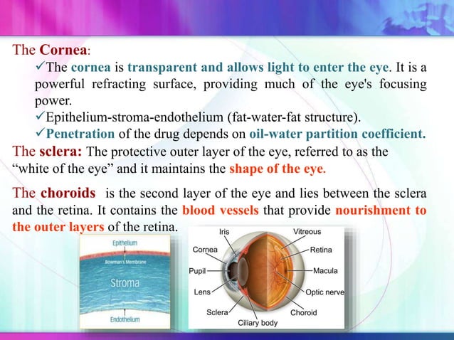 Ophthalmic dosage form: eye drops & ointment | PPTX