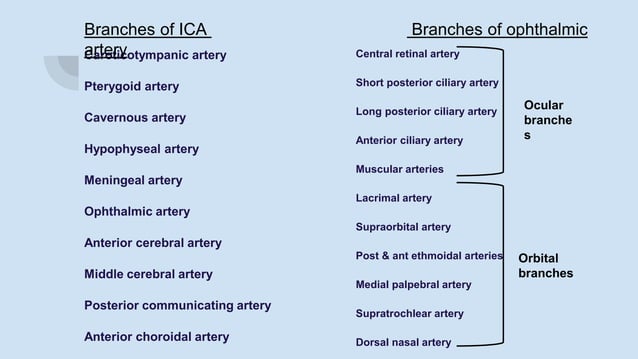 Ophthalmodynamometry. | PPTX | First Aid | Injuries
