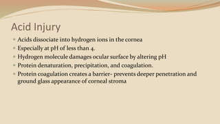 Ophthalmologic approach to chemical burns | PPTX