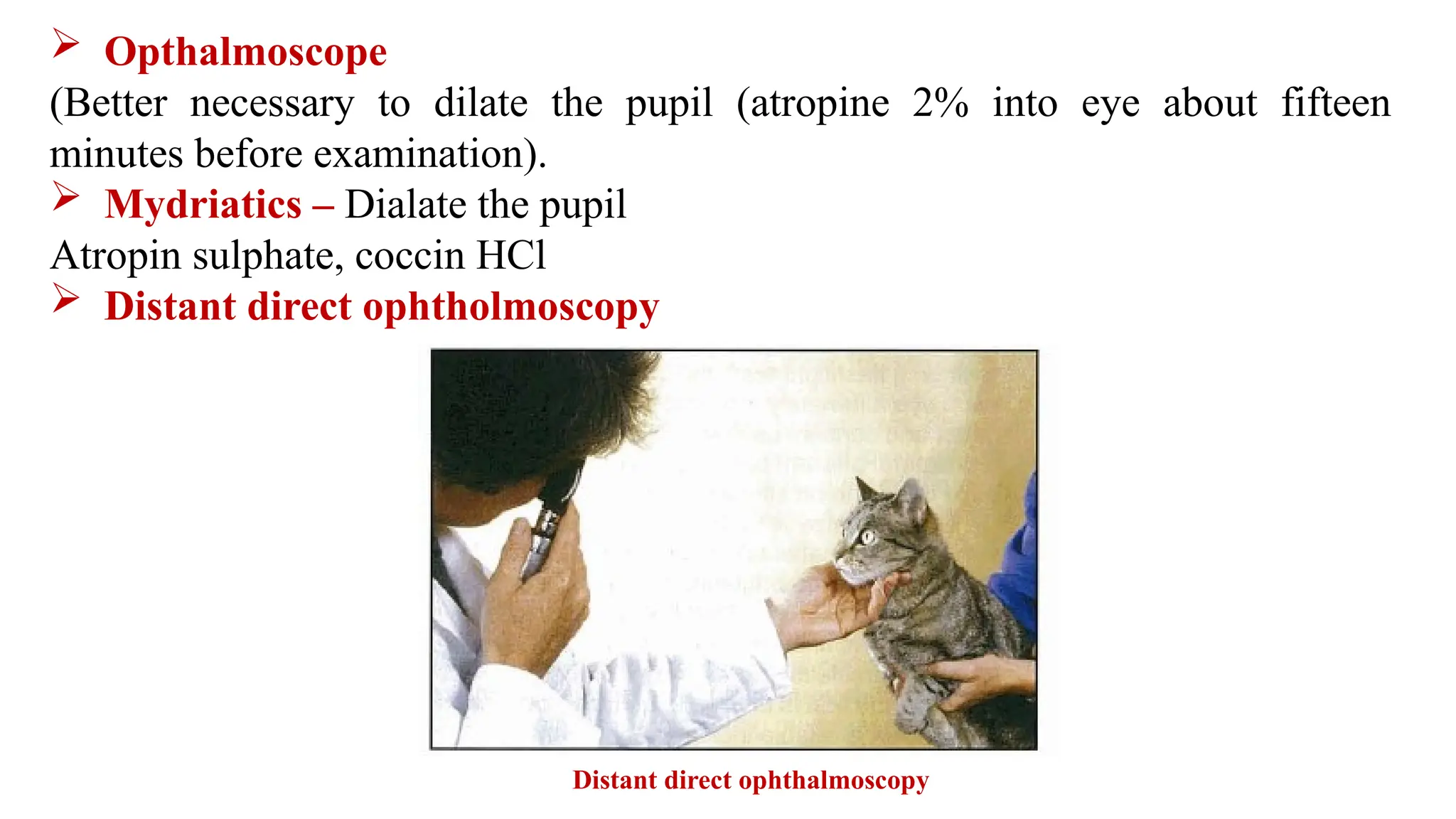 Ophthalmology of eye examination presentation | PPTX