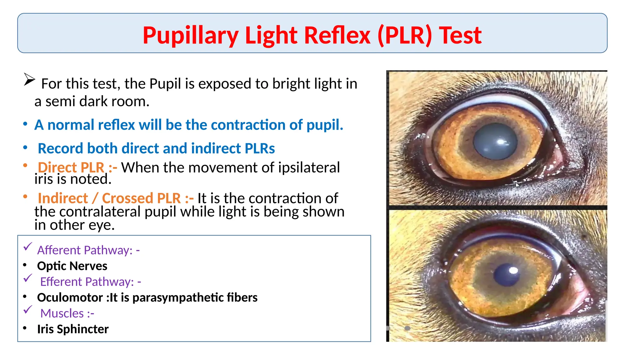 Ophthalmology of eye examination presentation | PPTX