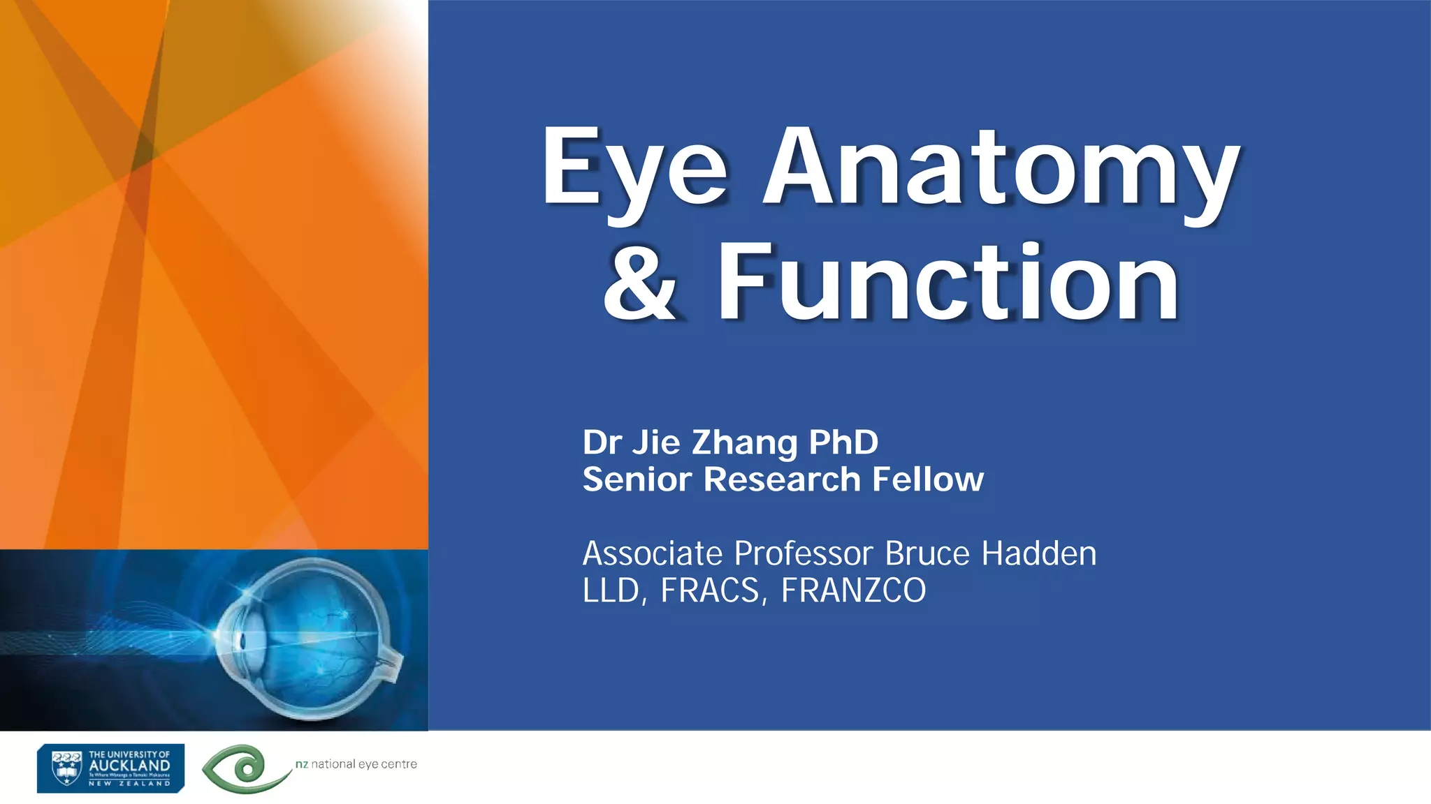 ophthalmology-v-eye-anatomy-and-function.pdf