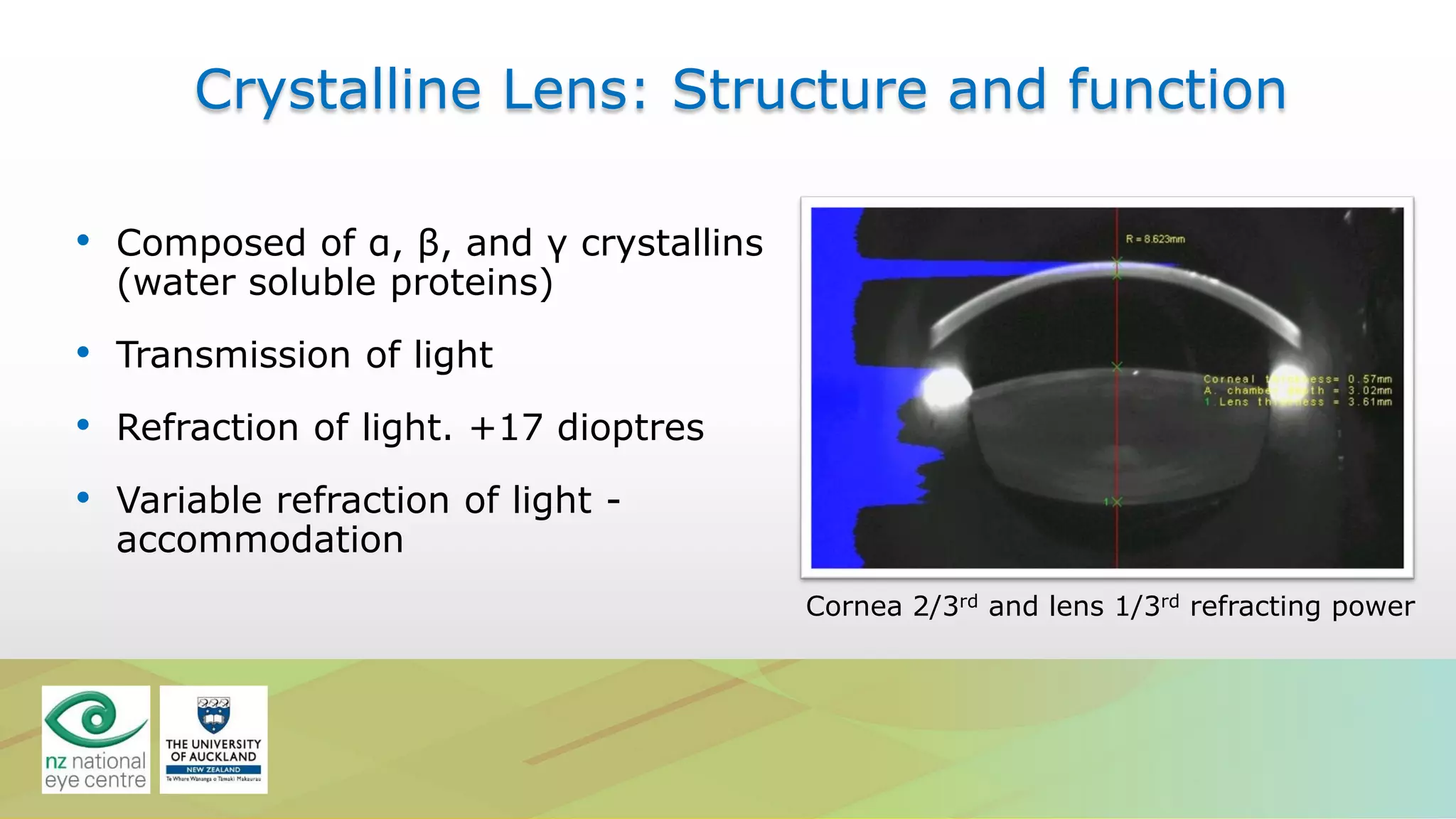 ophthalmology-v-eye-anatomy-and-function.pdf