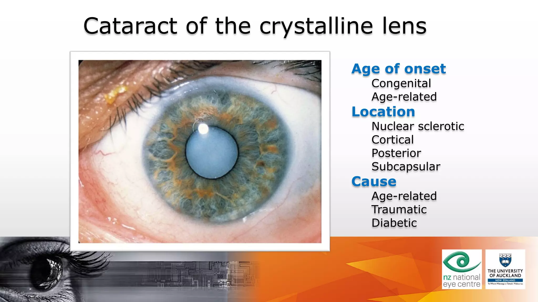 ophthalmology-v-eye-anatomy-and-function.pdf