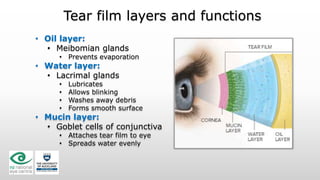 ophthalmology-v-eye-anatomy-and-function.pdf