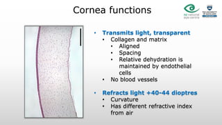 ophthalmology-v-eye-anatomy-and-function.pdf