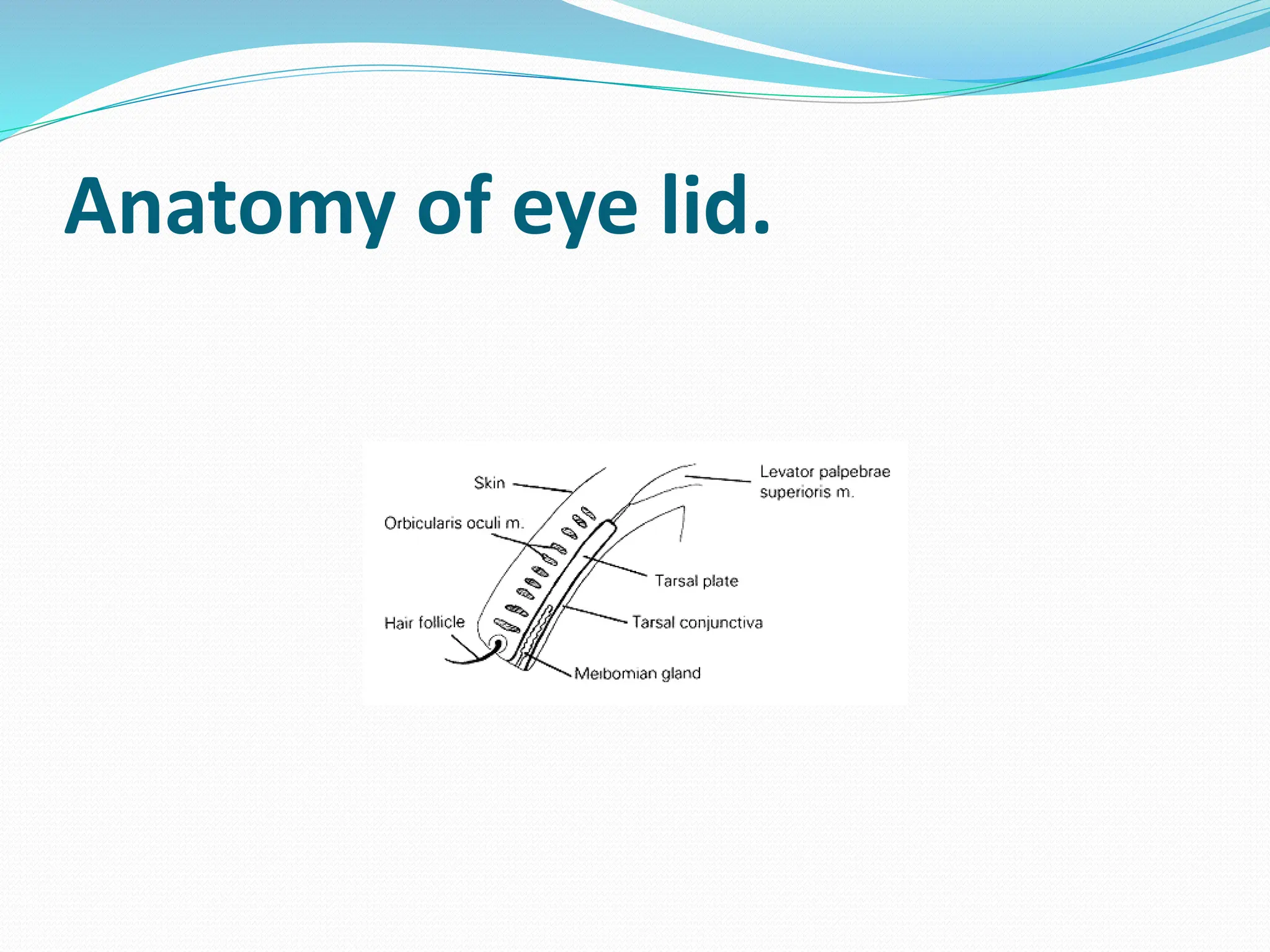 Ophthalmology and Ophthalmic nursing.pptx