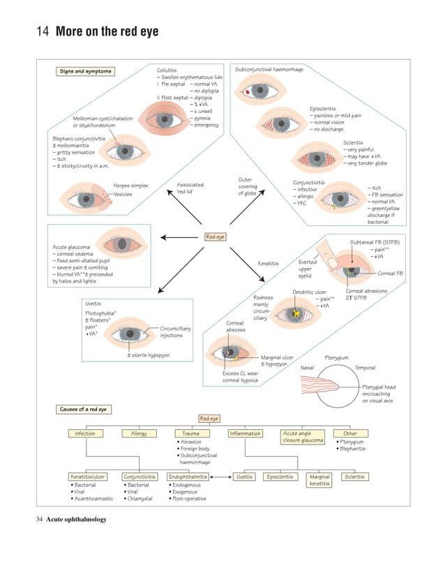 Ophthalmology at a Glance.pdf | Eye and Vision Conditions | Diseases ...