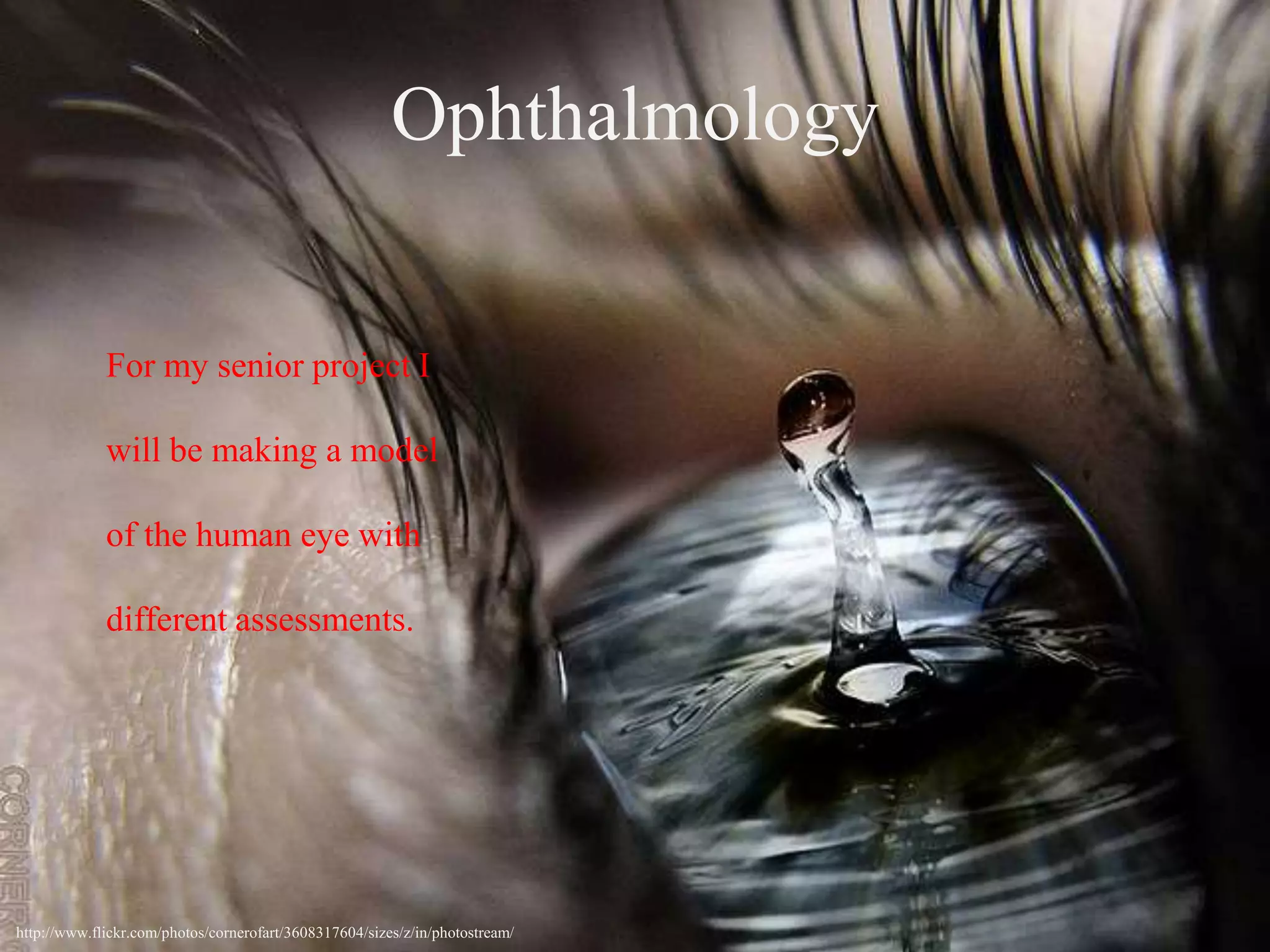 Ophthalmology project power point | PPTX