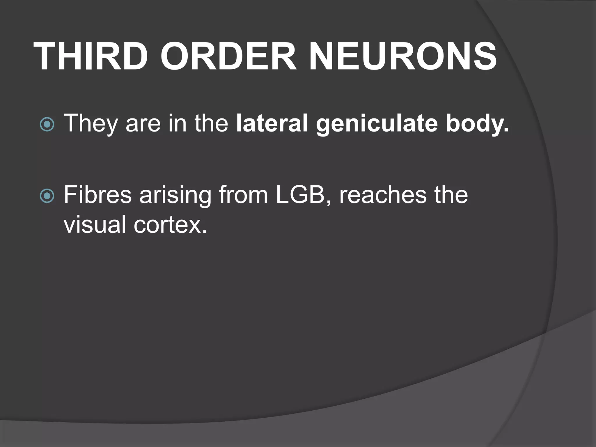 Visual Pathway - Ophthalmology - Eye | PPTX