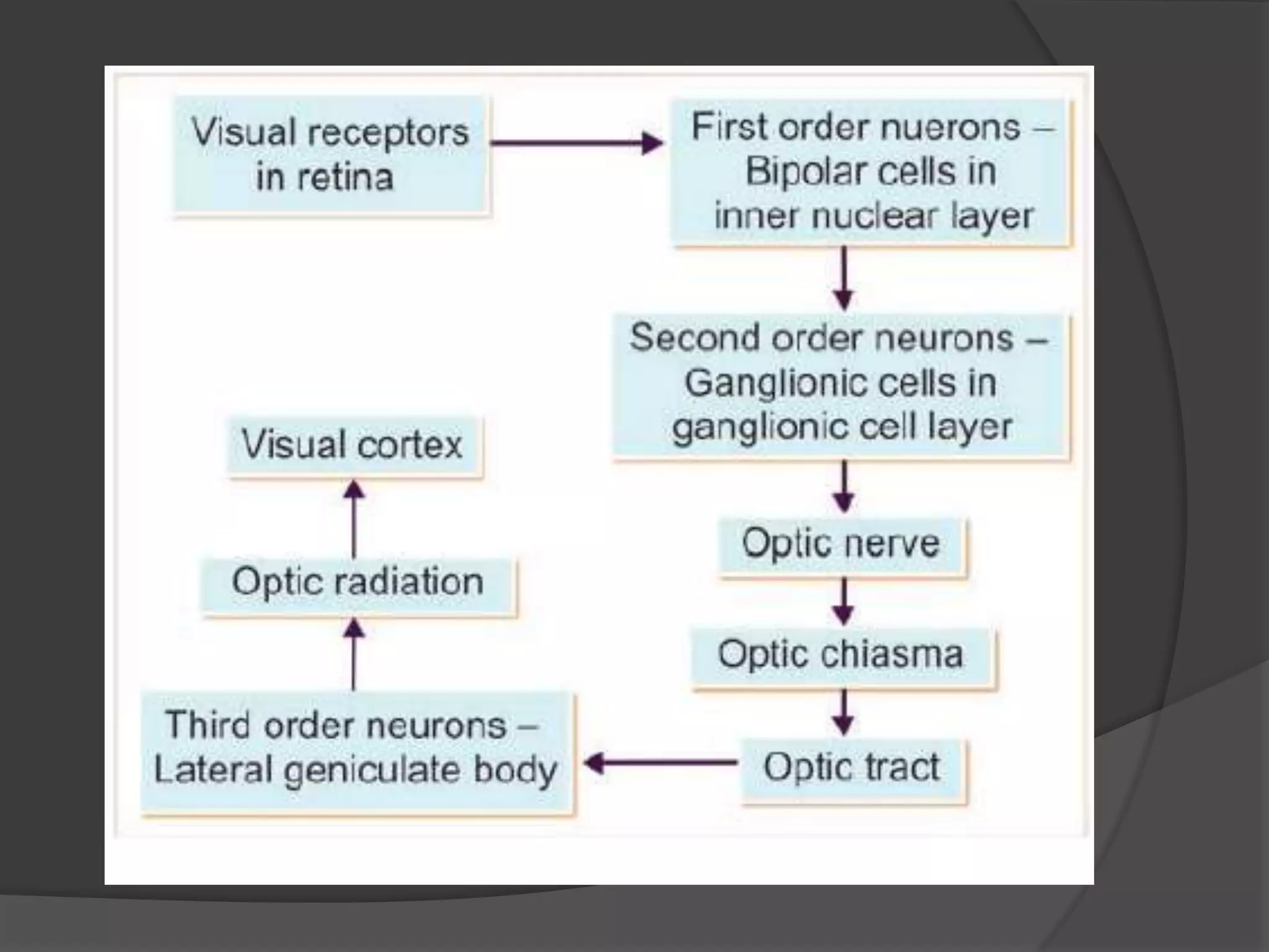 Visual Pathway - Ophthalmology - Eye | PPTX