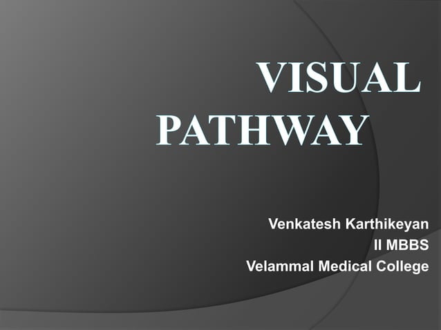 Visual Pathway - Ophthalmology - Eye | PPTX