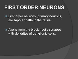 Visual Pathway - Ophthalmology - Eye | PPTX