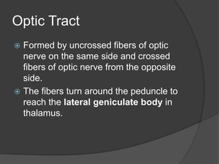 Visual Pathway - Ophthalmology - Eye | PPTX