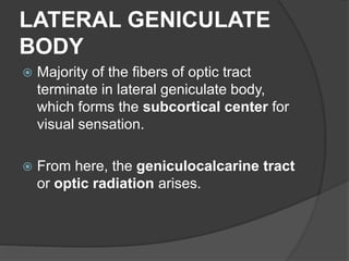 Visual Pathway - Ophthalmology - Eye | PPTX