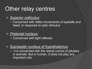 Visual Pathway - Ophthalmology - Eye | PPTX