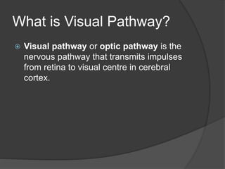 Visual Pathway - Ophthalmology - Eye | PPTX