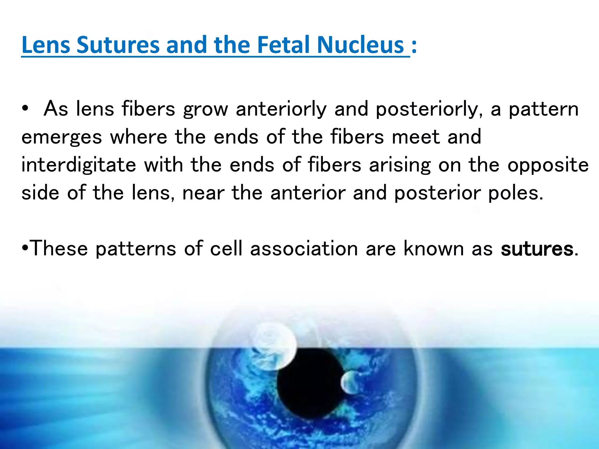 Embryology and developmental defects of lens | PPTX